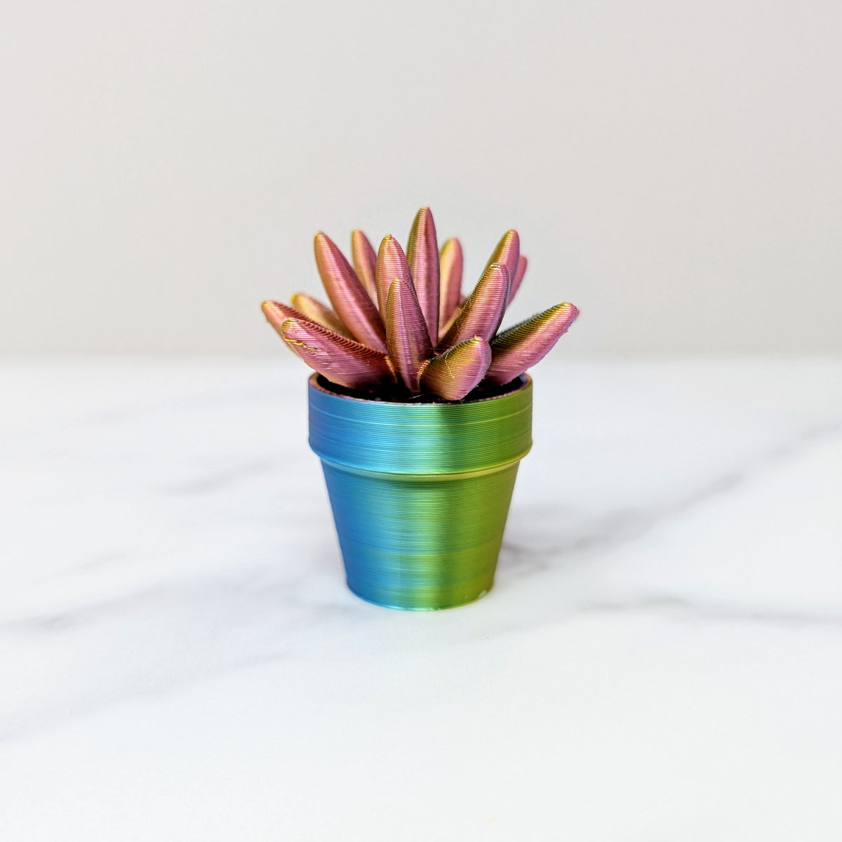 Succulent Spinner - Haworthia, Pastel Rainbow – Boyd's Custom Fabrication